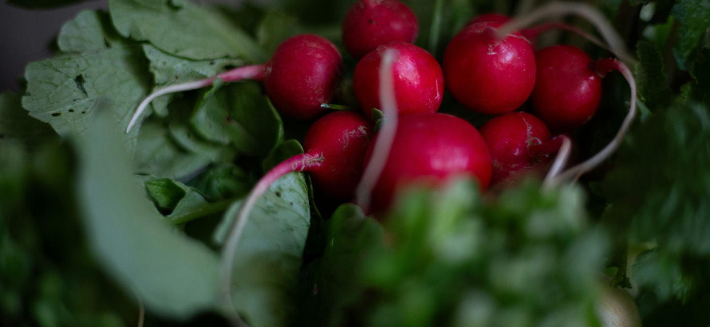 Earth Table | Holistic Meal Prep & Personal Chef Services